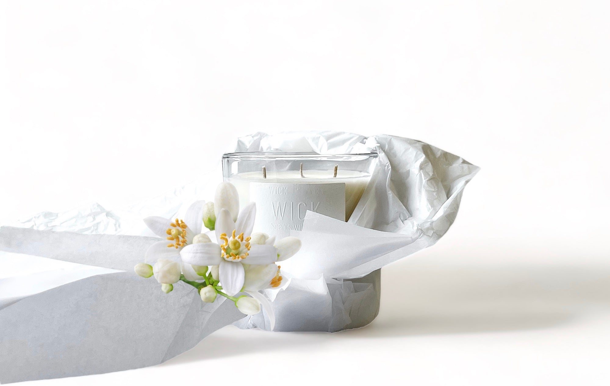 WICK Fragrances | Official Online Store